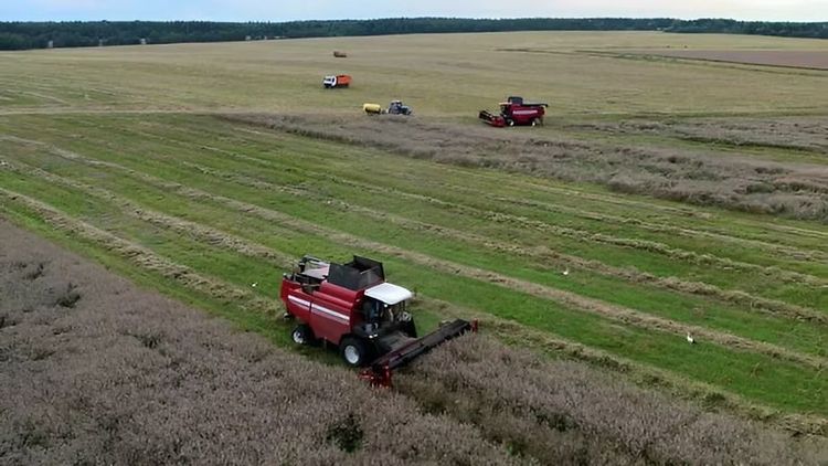 Different Types of Farming: Unlocking the Secrets Behind Agricultural ...